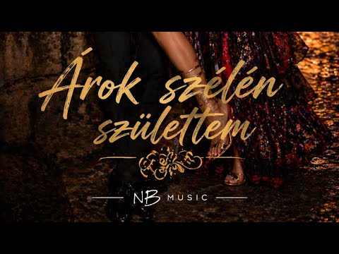 Árok szélén születtem (cover)—NB MUSIC