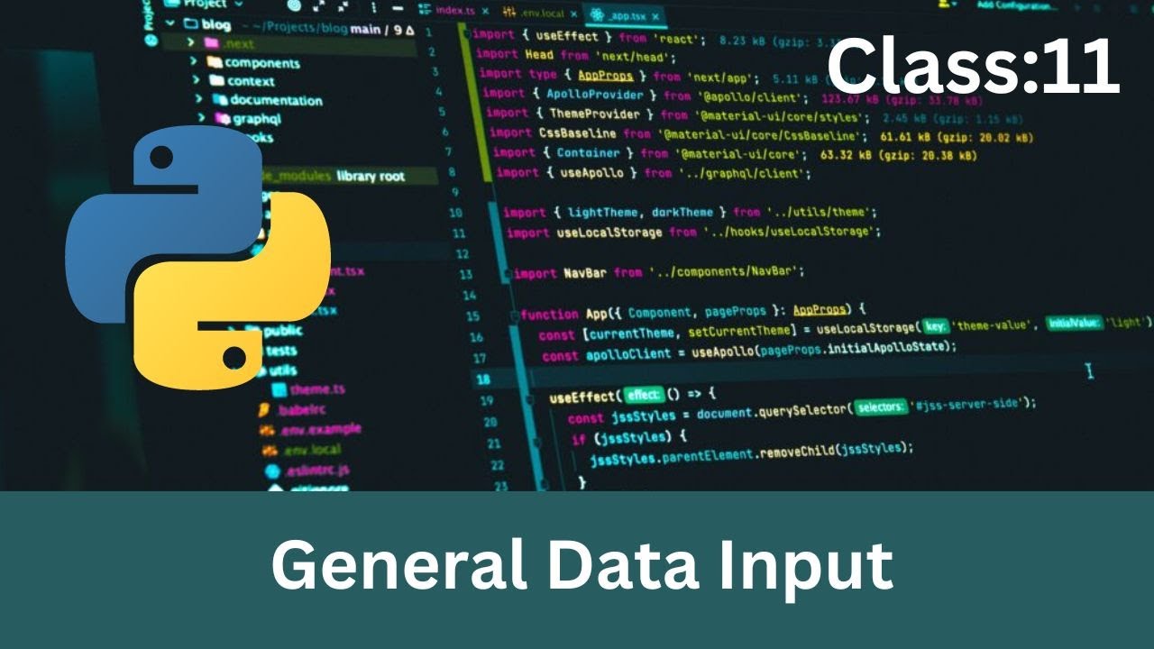 Class 11 | General Data Input in python | Nython vaiaa - YouTube