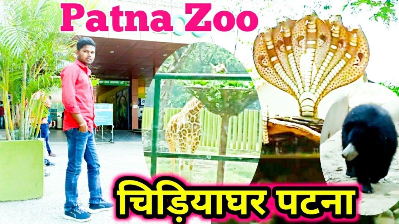 Patna Zoo Totally Change In 2022 | Snake House Patna Zoo | पटना ...