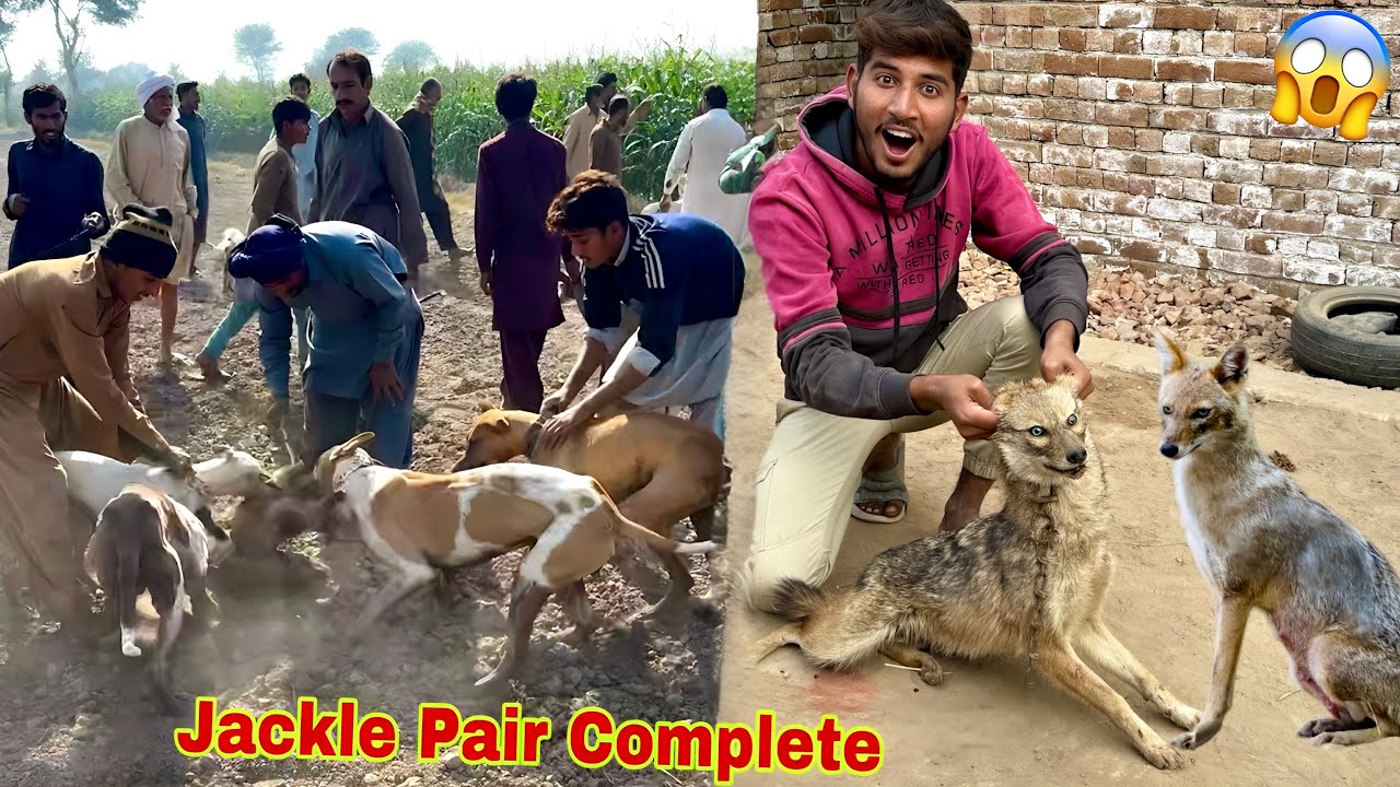 1 or Jackle Paker Kr Pair Complete Kr Liya - YouTube