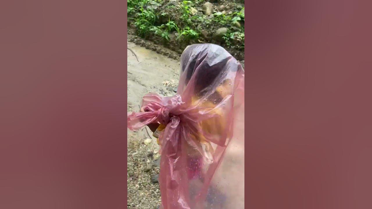 Brakhamas ko kam yastai xa mero kanxo vai ️ ️ #nepalisong - YouTube