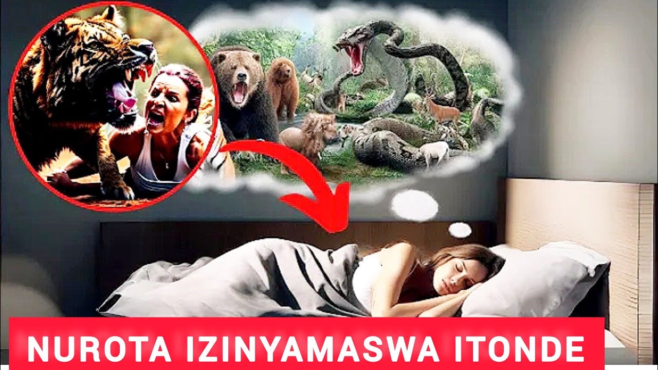 DORE NUROTA ,IMBWA,IMBEBA ,IHENE, INTARE ICYO BISOBANUYE |INZOZI UGOMBA ...