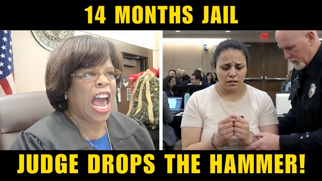 Judge Boyd GOES OFF After Defendant Tries to Blame the Judge and System ...