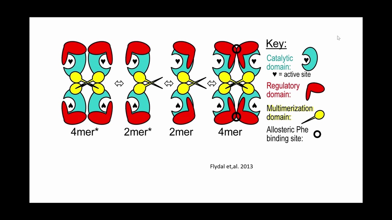 Multimerization Protein Domain - YouTube