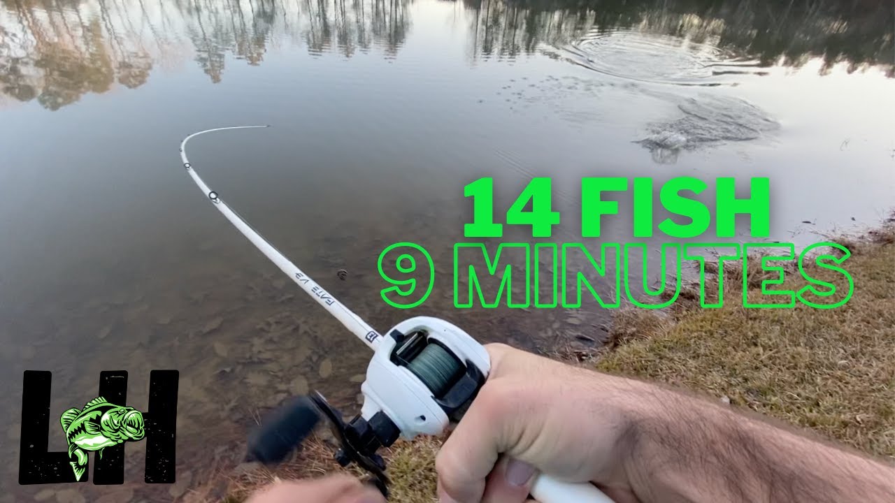 14 FISH in 9 MINUTES - YouTube