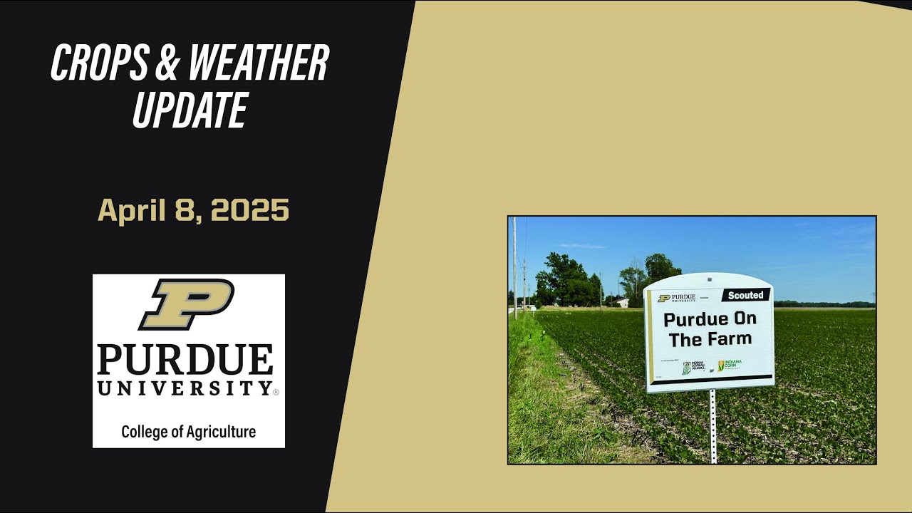 Purdue Crop & Weather Update April 8th, 2025 - YouTube