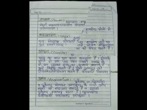 bsc 2nd year / botany practical - YouTube