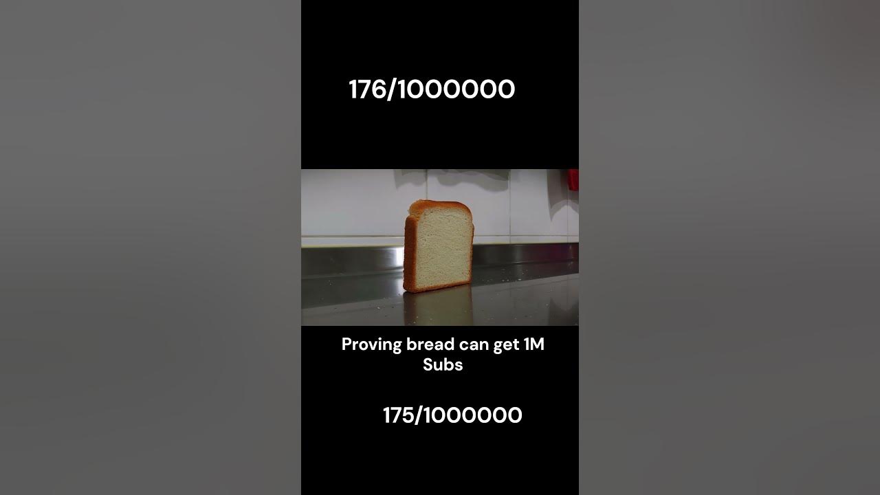 PROVING BREAD CAN GET 1M SUBS 🍞🥐🥪🥖 - YouTube