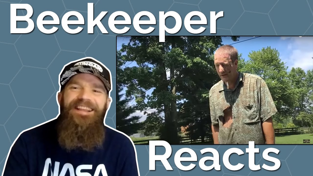 Beekeeper Reacts To Bee/Hornet Sting And Beekeeping Fail Videos - YouTube