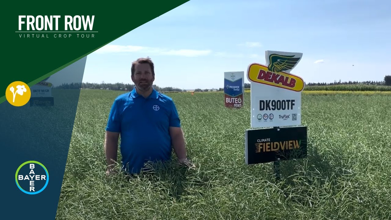 The Front Row: DEKALB® Canola Hybrids DK900TF, DK901TF and DK902TF ...
