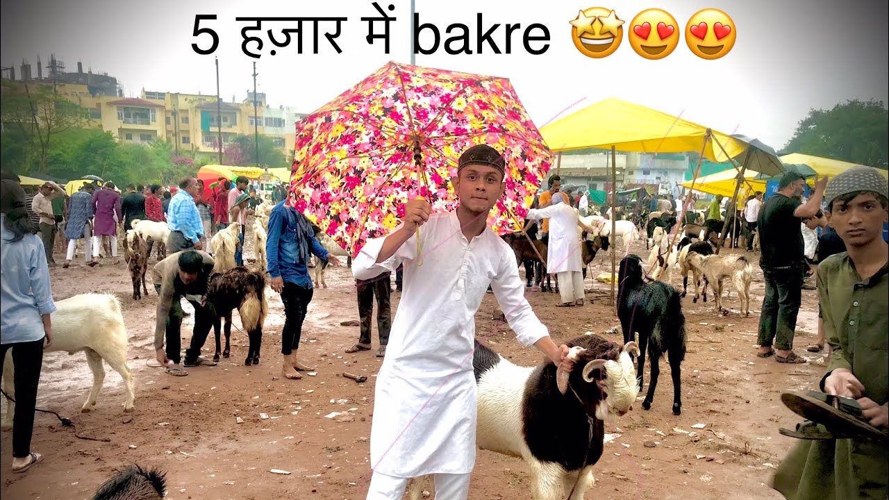 5 hazar main bakre 🤩😍Bakra Eid 🌙 shopping 🤣 - YouTube