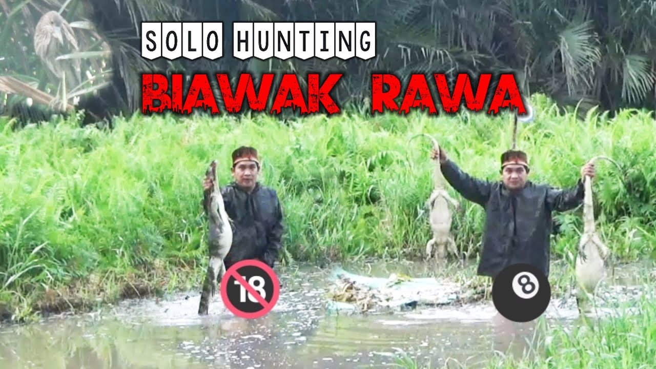 Berburu biawak rawa // solo hunting - YouTube