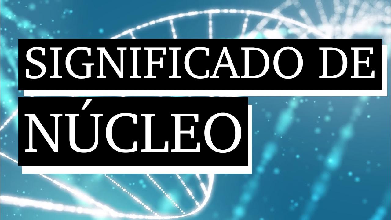 Significado de núcleo - Qué es el núcleo - Cuál es el significado de ...