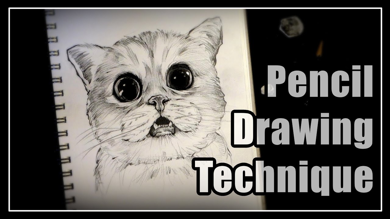 Cat Lab. / Pencil Drawing Technique. / Drawing process. - YouTube