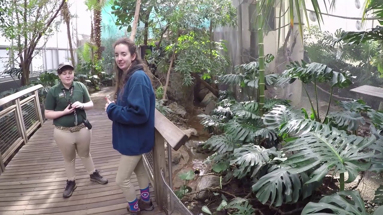 Philadelphia Zoo Bird House - YouTube