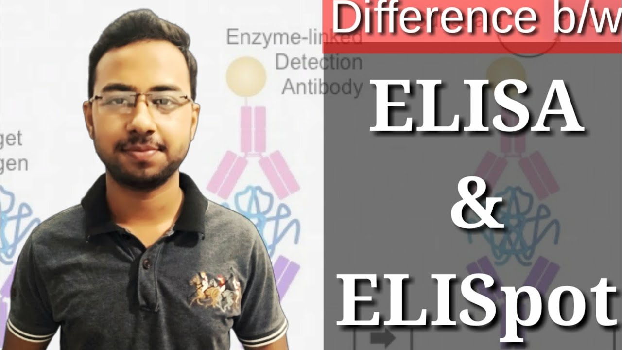 ELISA test procedure | ELISPOT assay procedure | enzyme linked ...