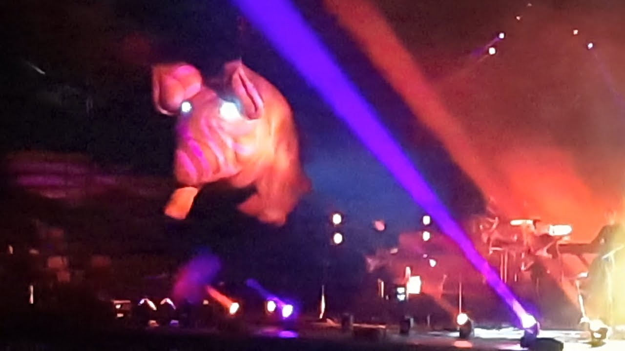 One of These Days – Epic Light Show Live 2025 | Brit Floyd Tribute 🌈🎸 ...