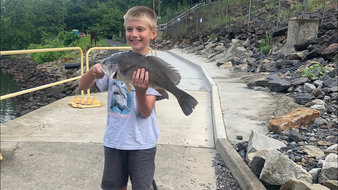 Multi Species Fishing Cheat River Dam - YouTube