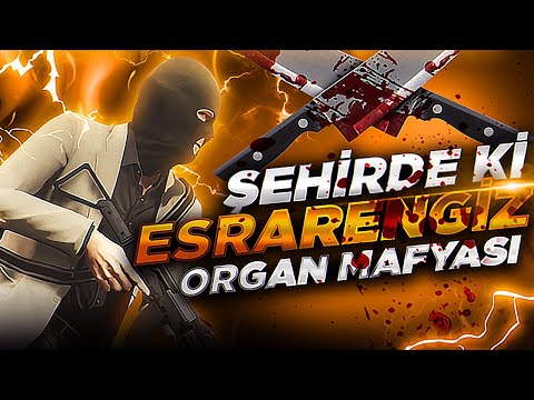 EightbornV - Organ Mafyası | Rol Adminleri Şehirde Rol ( PASI! )