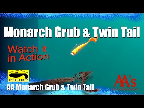 OB2015-AA Monarch Grubs & Twin Tails - YouTube