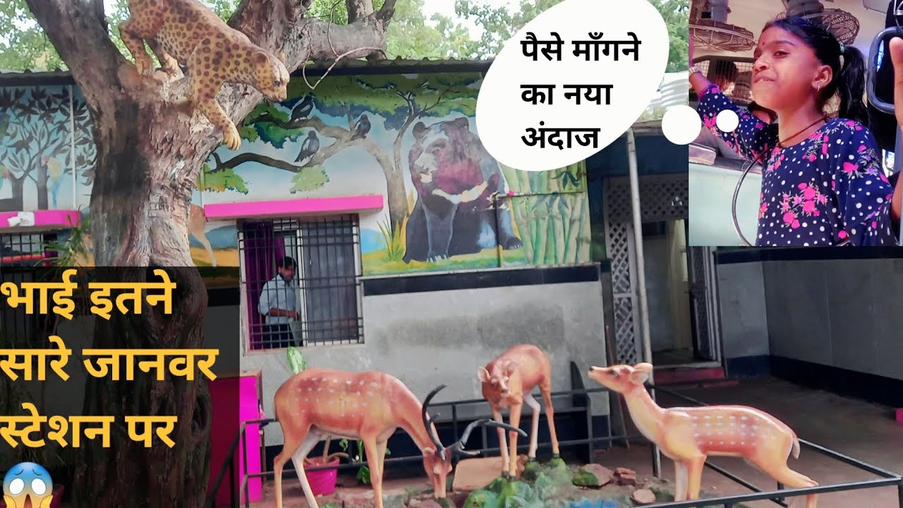 Tamil Nadu Express Full journey|| New delhi to Chennai central in ...