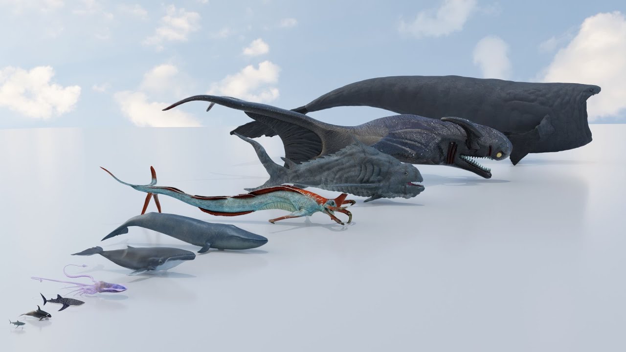 Sea Monsters Size Comparison | 3D Animation Comparison 2024 - YouTube