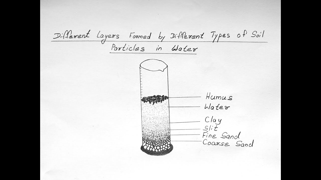 LAYERS FORMED BY SOIL PARTICLES IN WATER - CLASS 12 BIOLOGY DIAGRAM ...