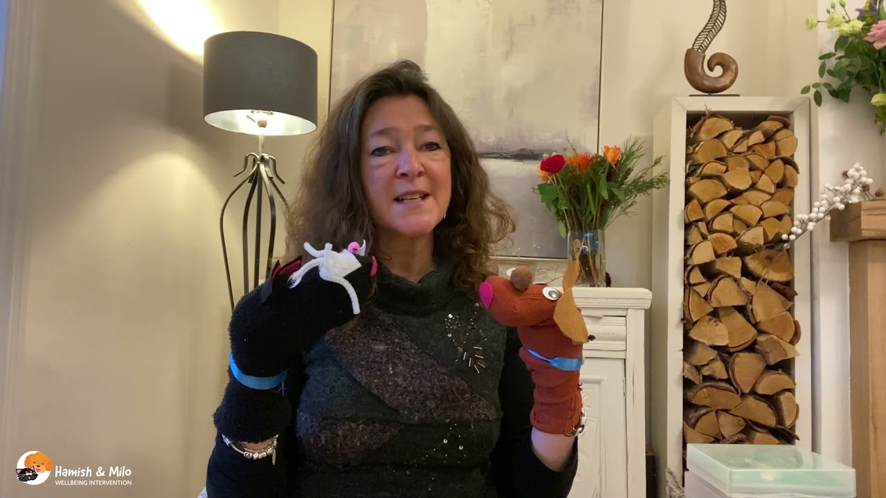 Hamish & Milo Using Sock Puppets Training Video - YouTube