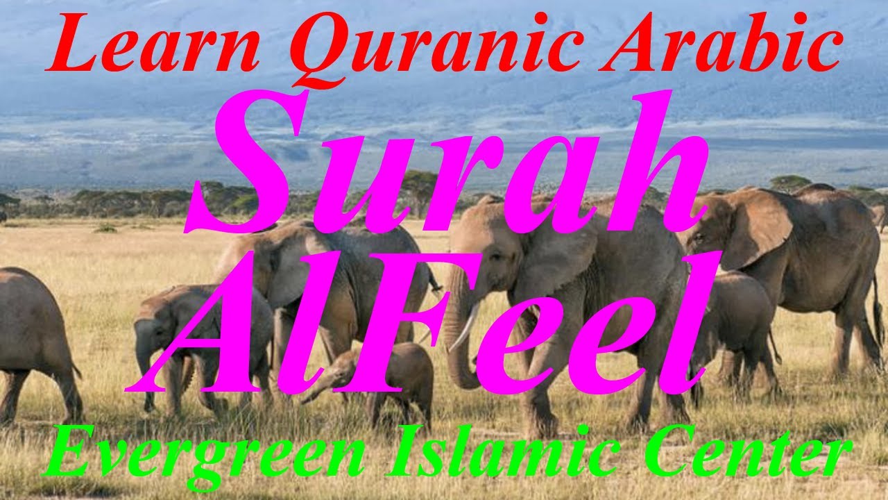 Surah AlFeel