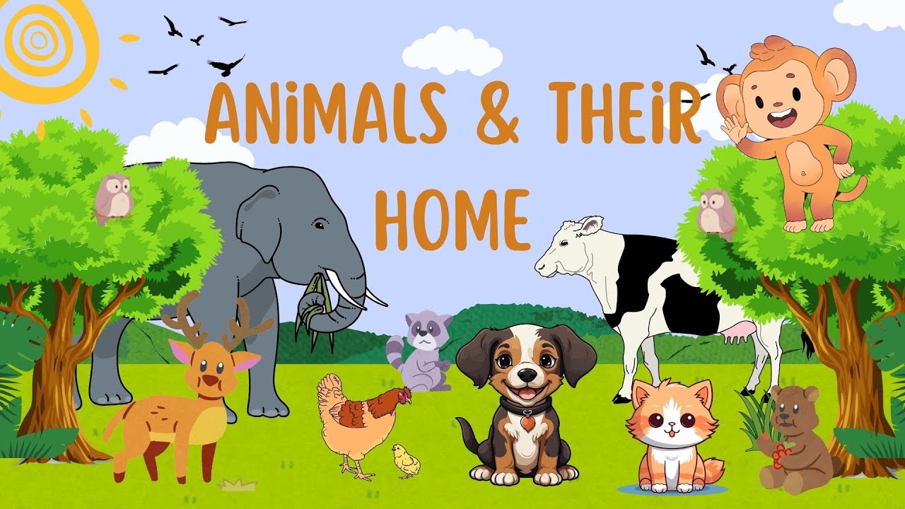 Animal Homes for Kids | Learn Where Animals Live | Kindergarten ...