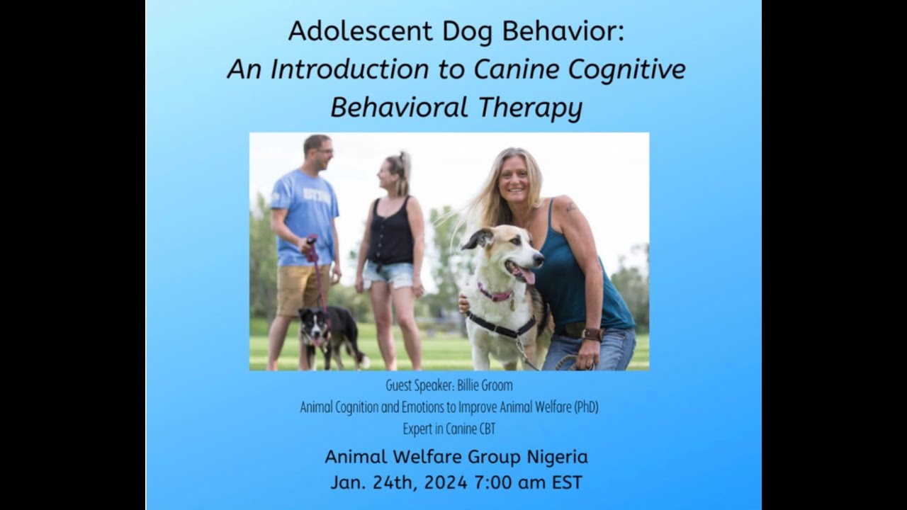 Adolescent Dog Behavior: An Introduction to Canine Cognitive Behavior ...