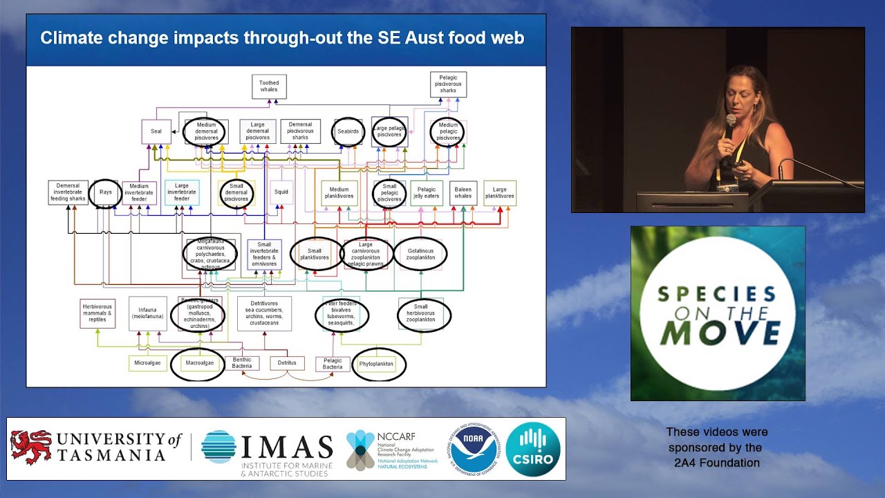 Public Forum - Gretta Pecl, Institute for Marine and Antarctic Studies ...
