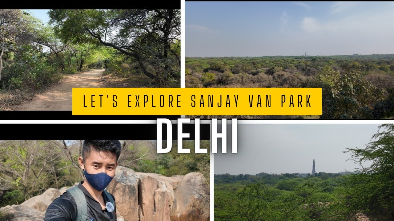 EXPLORING SANJAY VAN PARK, DELHI| MOST THICKLY WOODED AREA. - YouTube