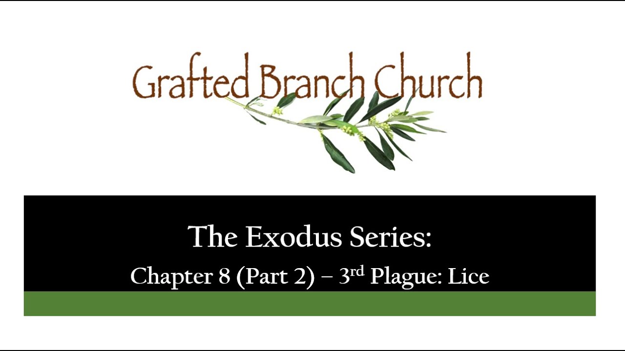 Exodus Series: Chapter 8 (Part 2) - 3rd Plague: Lice - YouTube