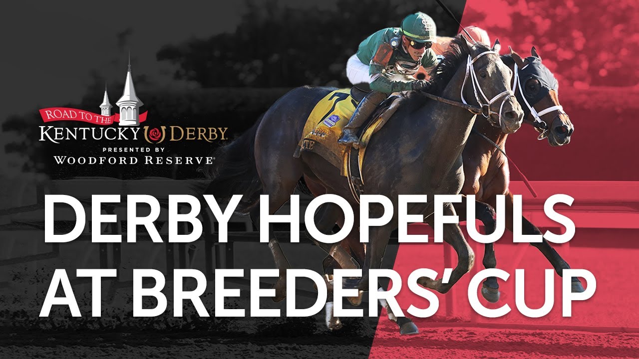 Road to the Kentucky Derby 149 | Breeders' Cup Preview - YouTube