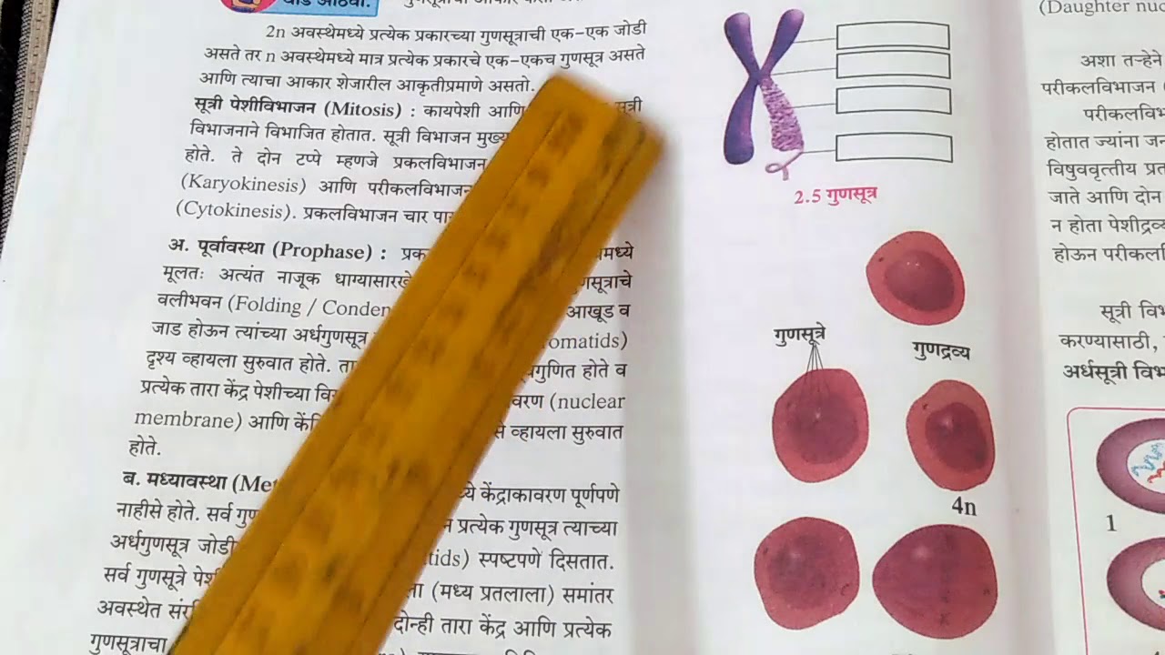 Sci2,lesson2,part4 - YouTube