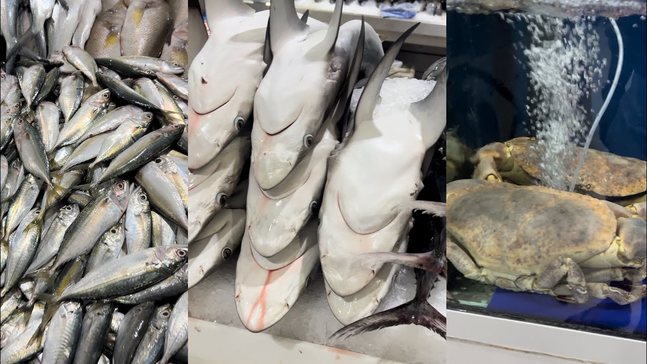 Dubai fish market | waterfront market Dubai!Dubai tourist place - YouTube