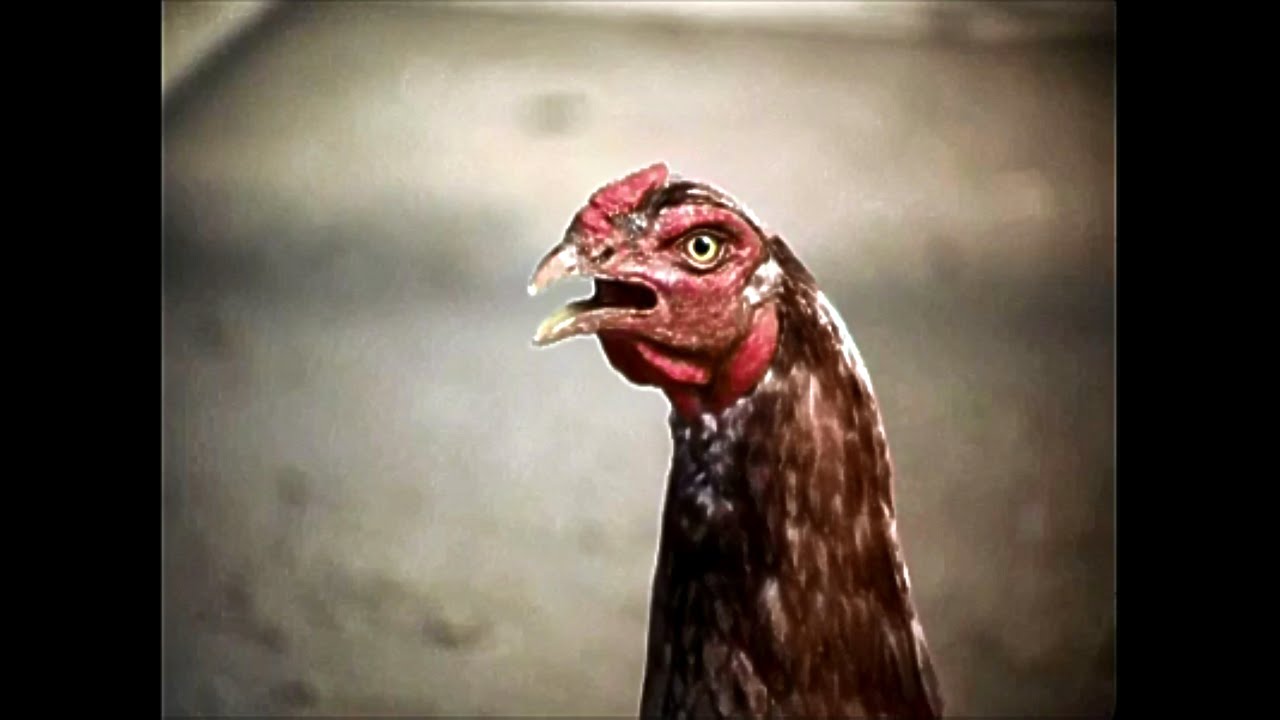 Burger King Kickin Chicken TV Commercial HD - YouTube
