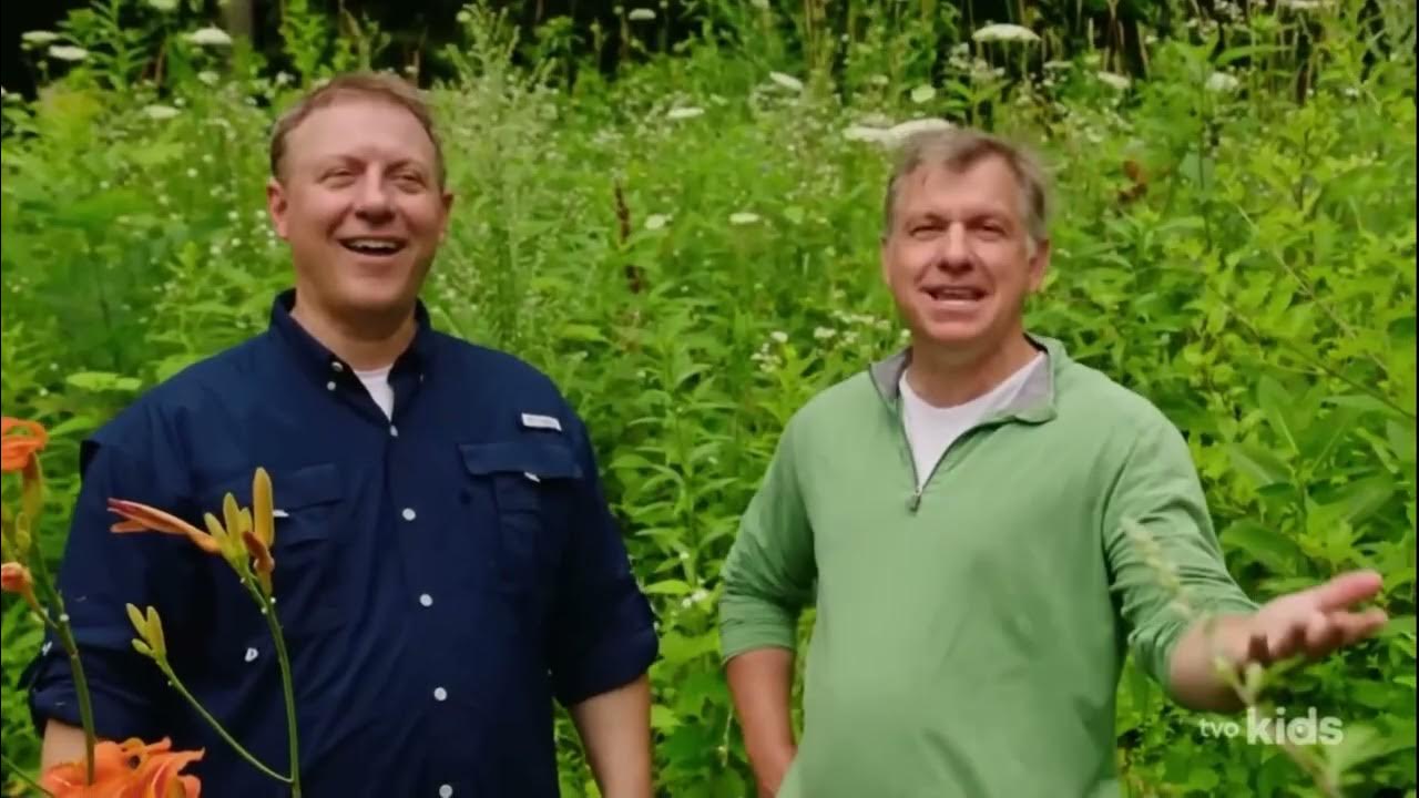 Wild Kratts: No Name Dream - More Creature Names - YouTube