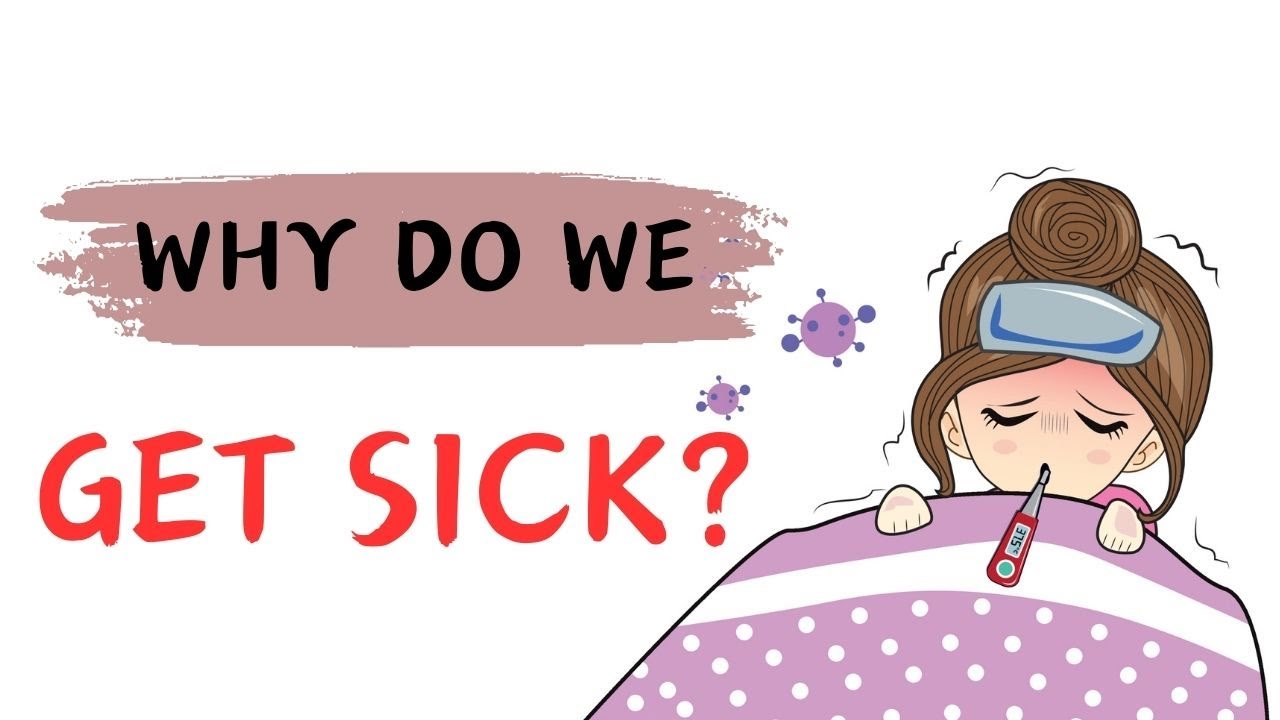 Why Do We Get Sick? How To Boost Your Immune System? - YouTube