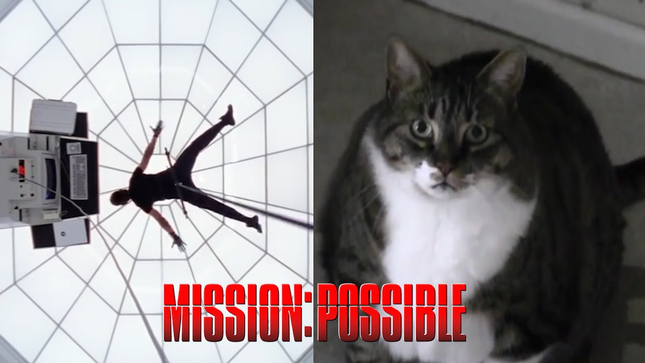 КОТ И МИССИЯ ВЫПОЛНИМА | CAT AND MISSION POSSIBLE - YouTube
