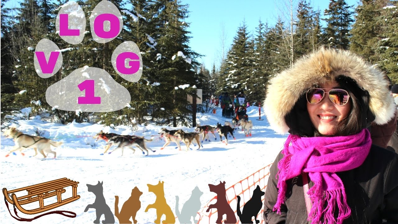 Vlog #1 Alaska Iditarod Dog Sleding Race, Reindeer Run - YouTube