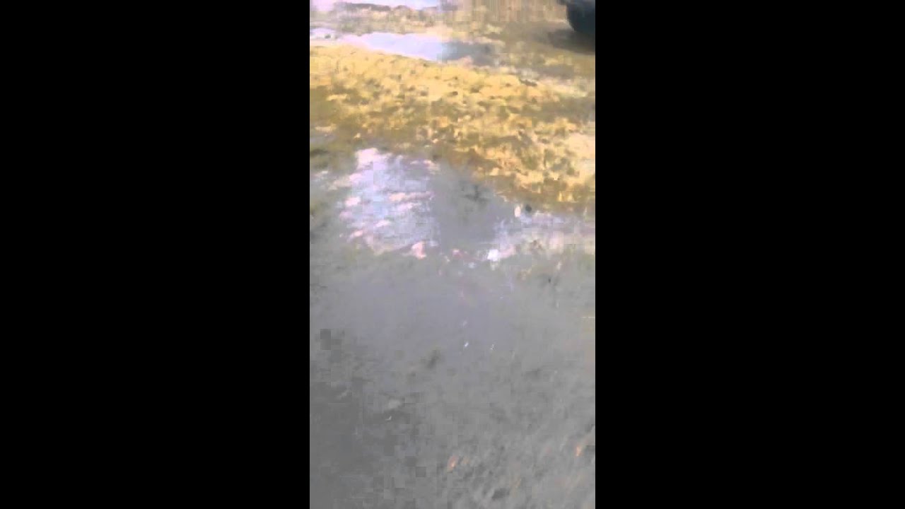 Whitney Spivey-Too wet - YouTube