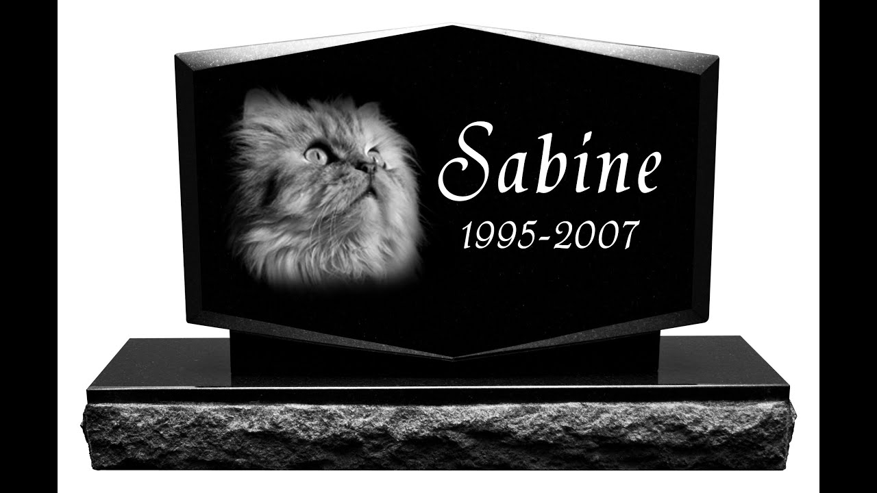 How to Edit a Photo for Laser Engraving in Less Than 5 Minutes with ...