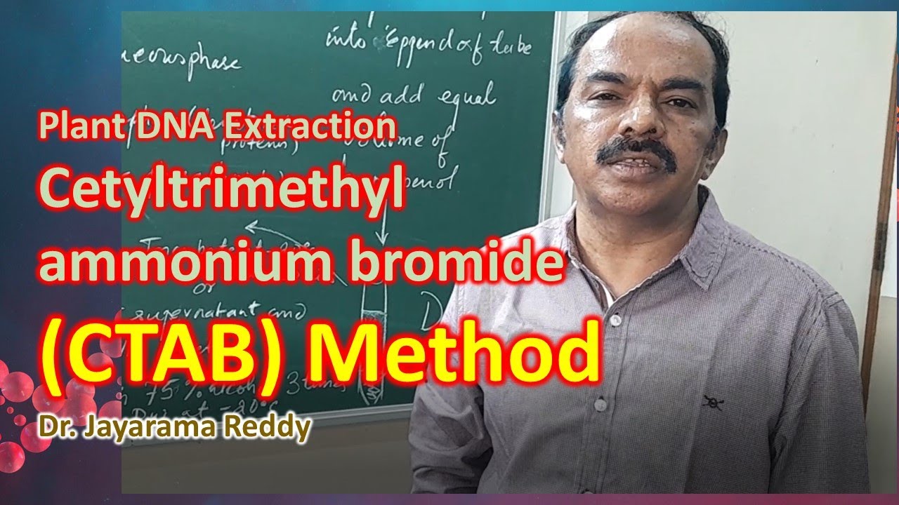 CTAB Method| Plant DNA Extraction| cetyl trimethylammonium bromide ...