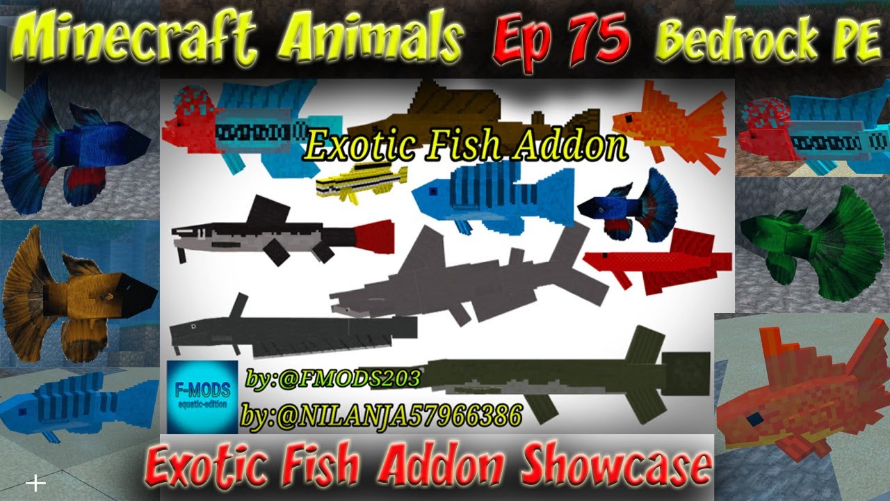 Exotic Fish Addon Minecraft Bedrock Addon Minecraft PE Addon 60FPS 4K ...