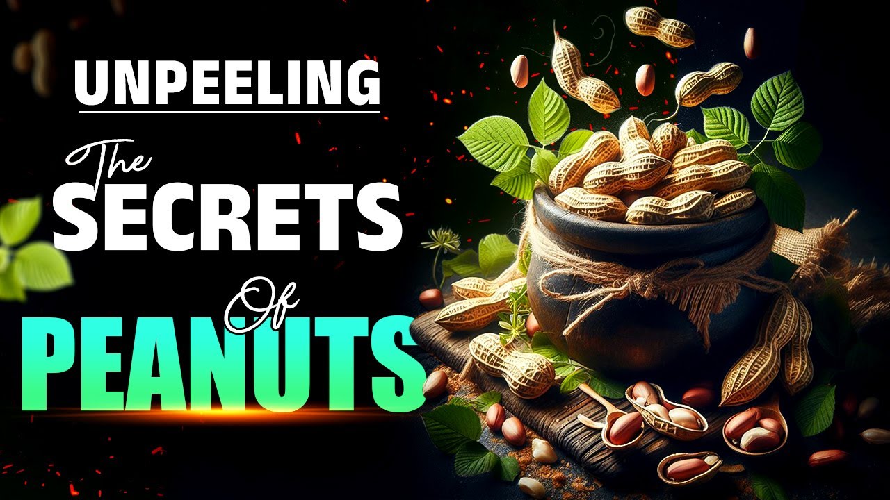 🥜What Happens To Your Body If You EAT PEANUTS🥜Every Day? | Benefits of ...