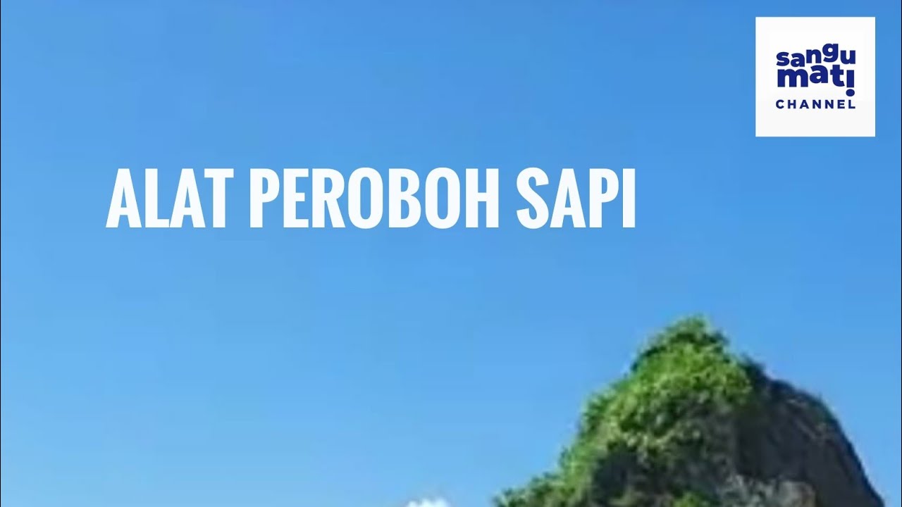 Alat Peroboh Sapi - YouTube