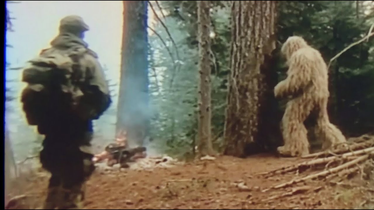 Camper Heard Bigfoot Crying in the Woods, When He Got Closer ...