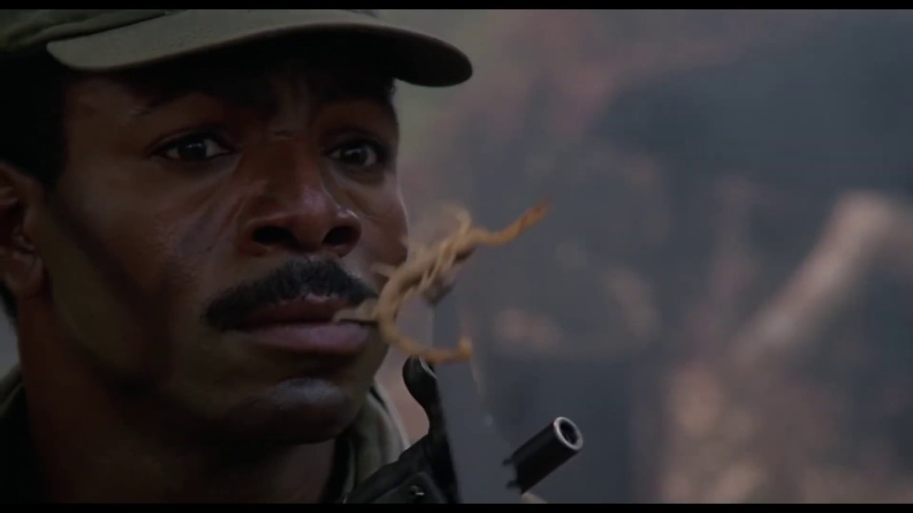 Anytime. Predator - YouTube